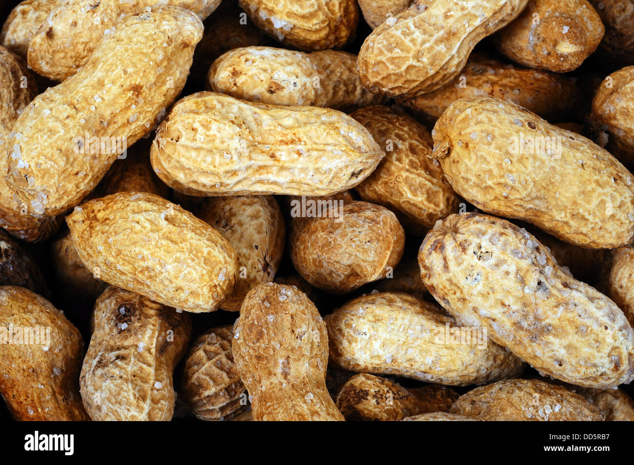 Healthy monkey hi-res stock photography and images - Alamy