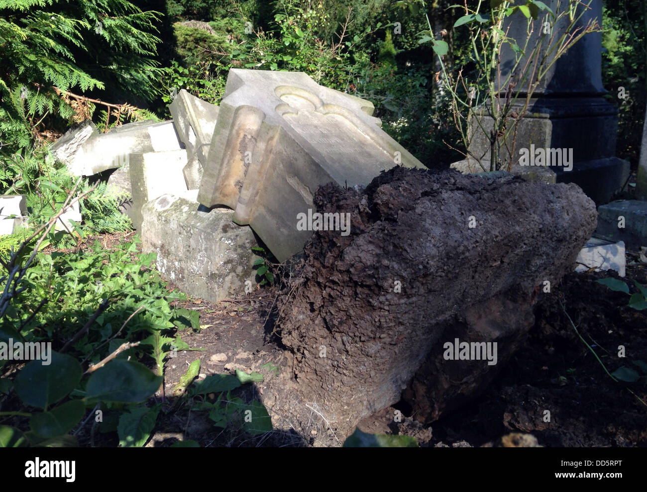 HANDOUT - A handout photo dated 27 August 2013 shows overturned grave ...