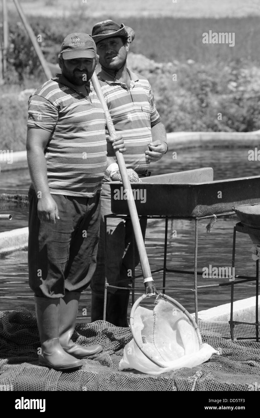 Trout breeding Black and White Stock Photos & Images - Alamy