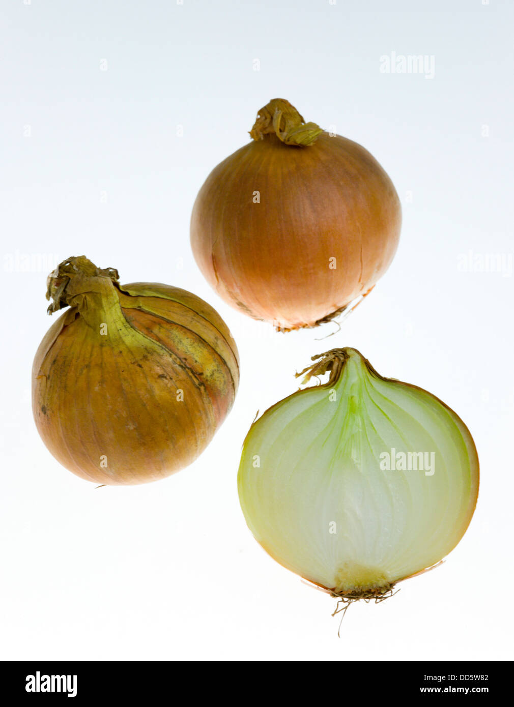 Layers like an onion hi-res stock photography and images - Alamy