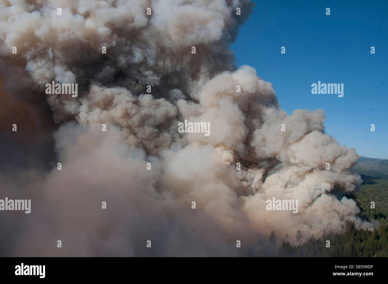 California Air and Army National Guard out in force in support of U.S ...