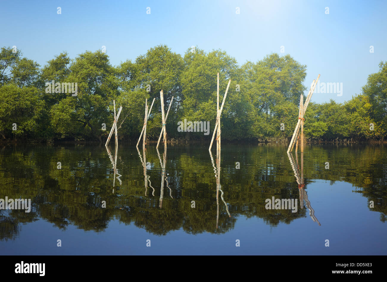 Prawn trap hi-res stock photography and images - Alamy