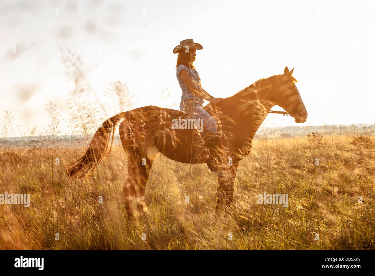 Horseback riding hi-res stock photography and images - Alamy