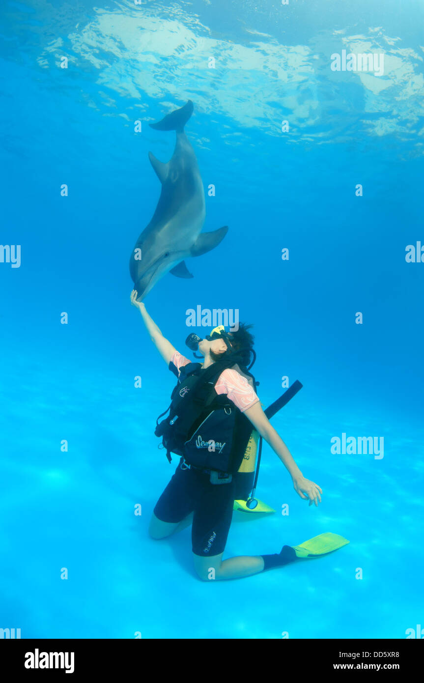 Female scuba diver dolphin pacific hi-res stock photography and images ...