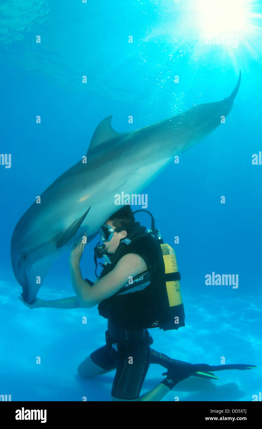 Female scuba diver dolphin hi-res stock photography and images - Alamy