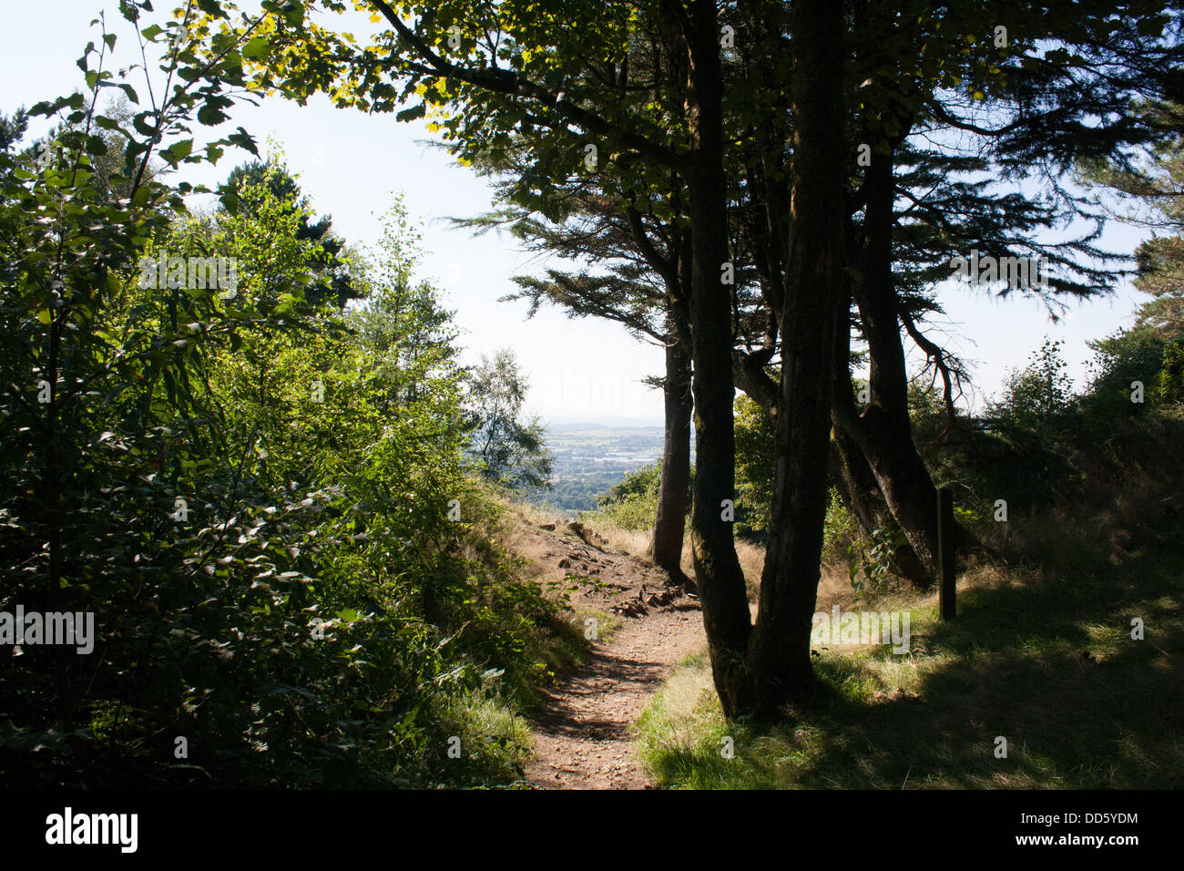 shady trail path Stock Photo - Alamy