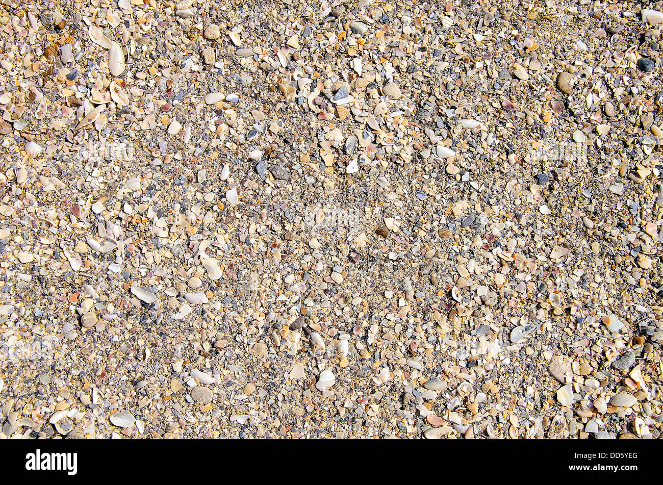 Natural sand and shells background on yellow tones Stock Photo - Alamy