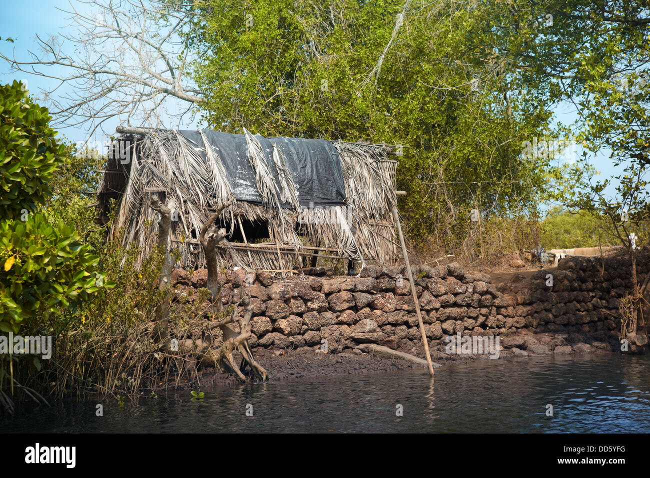 Old fishing shack in tropical shrubs at the river. Goa, India ...