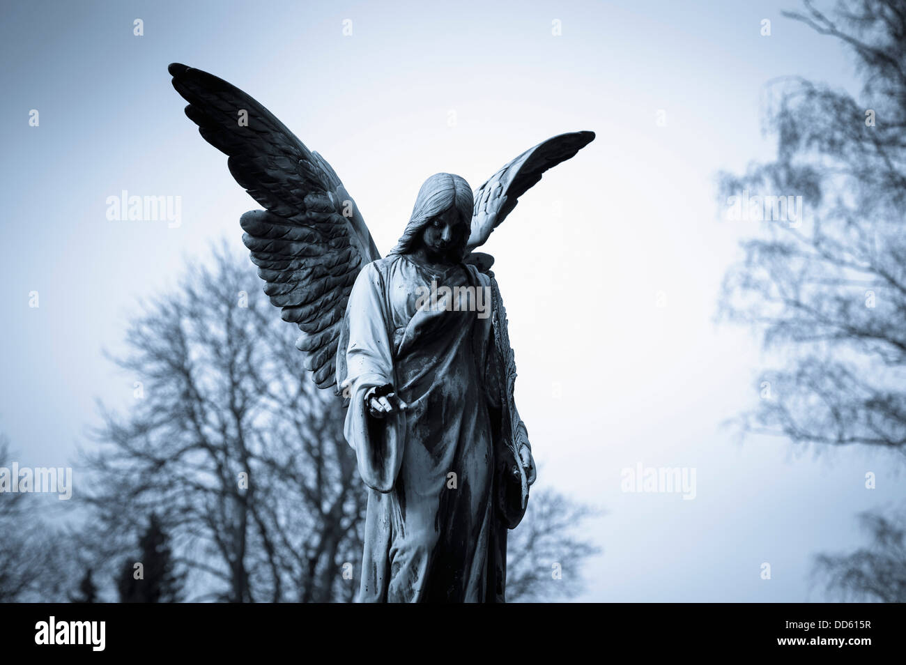 Germany, Cologne, Statue of angel at Melatenfriedhof Stock Photo - Alamy