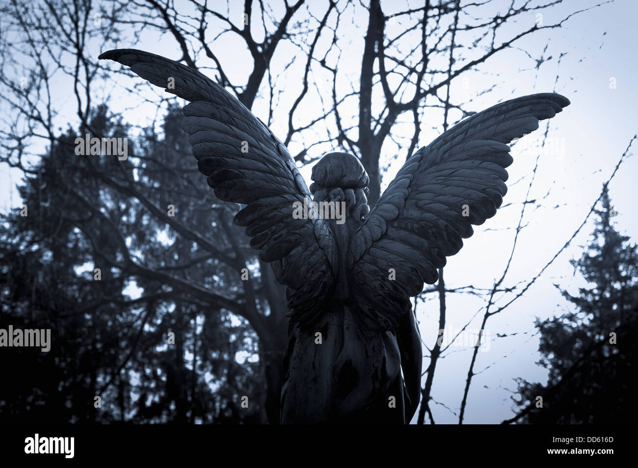Germany, Cologne, Statue of angel at Melatenfriedhof Stock Photo - Alamy