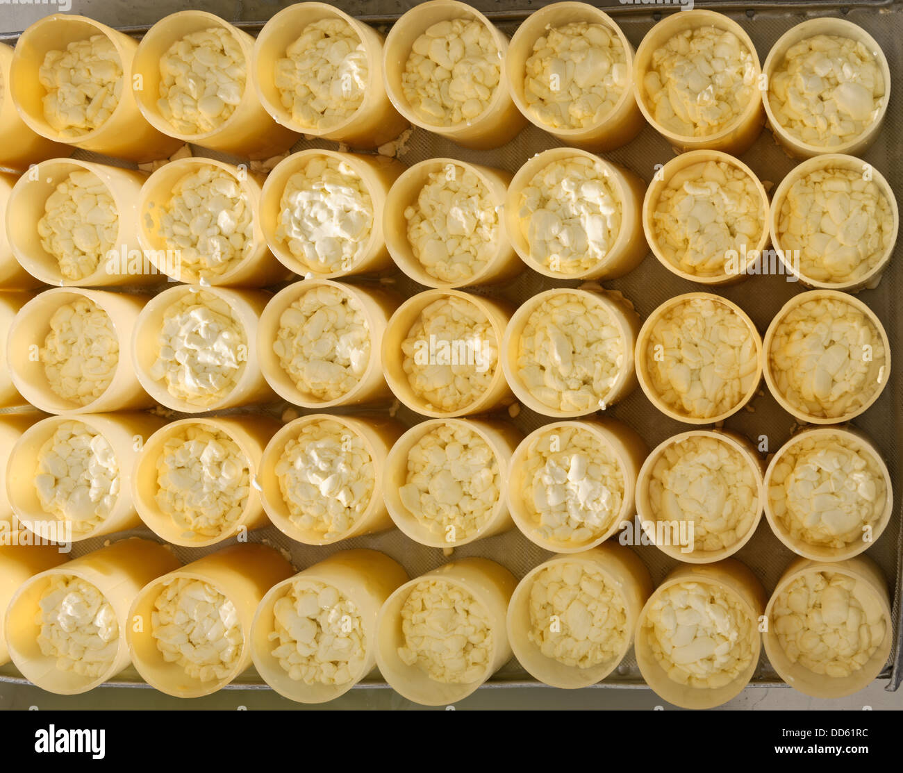 Production of cheese hi-res stock photography and images - Alamy