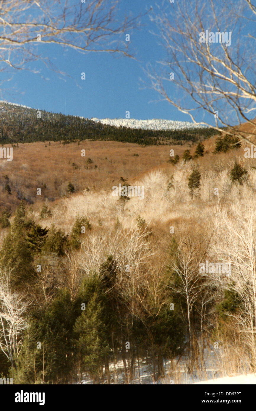 Winter Hills & Trees Stock Photo - Alamy