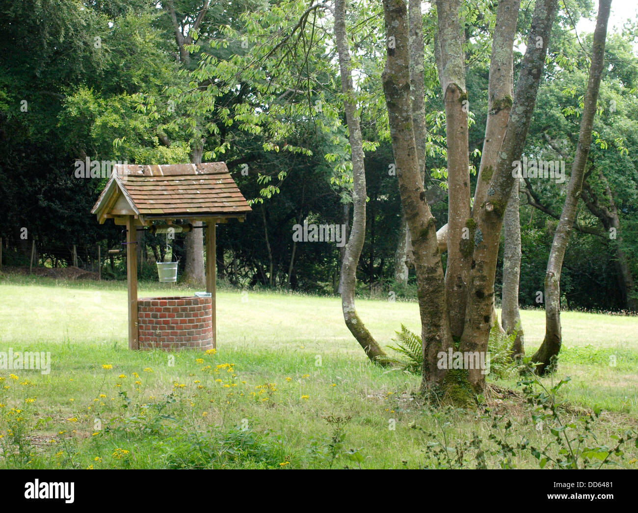 A well in a field, New Forest, Hampshire, UK 2013 Stock Photo - Alamy