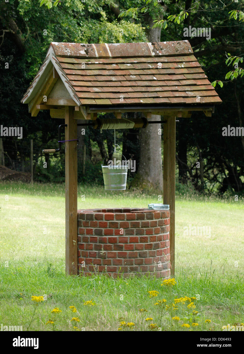 A well in a field, New Forest, Hampshire, UK 2013 Stock Photo - Alamy