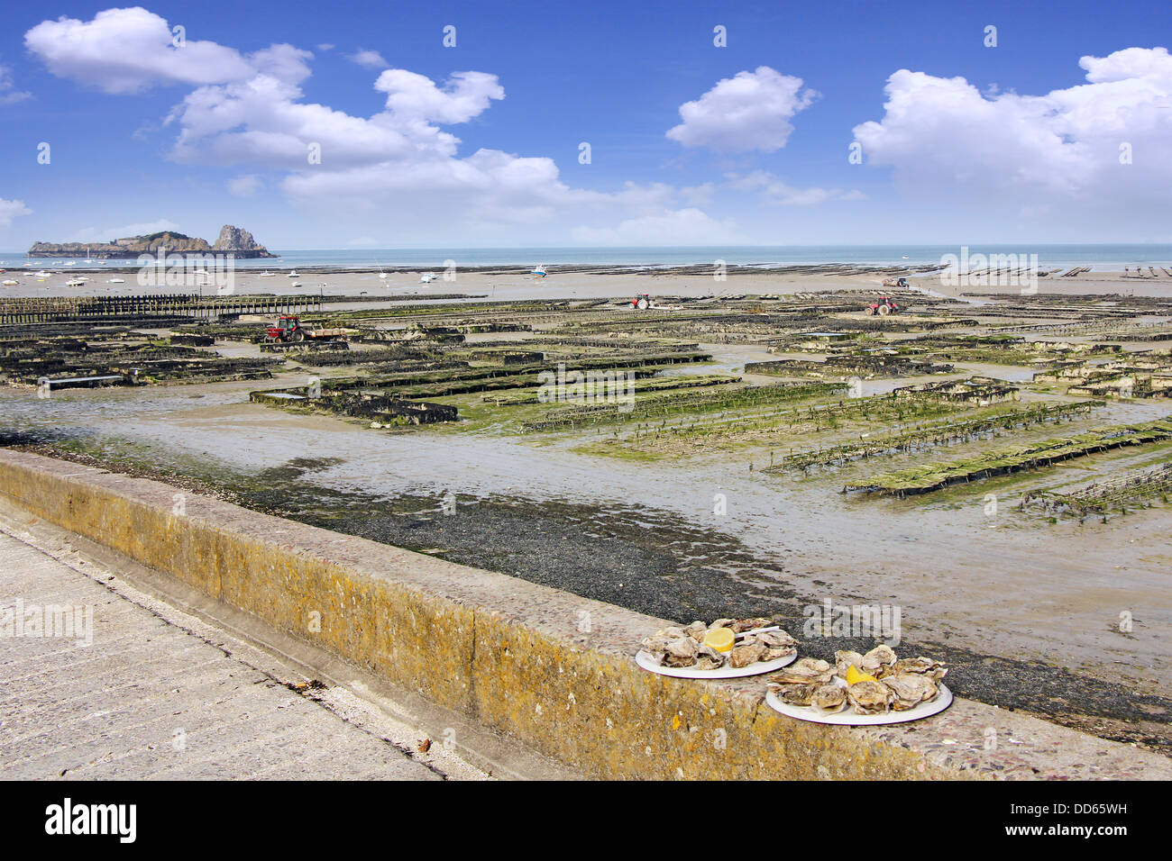 Harbour floor low tide hi-res stock photography and images - Alamy