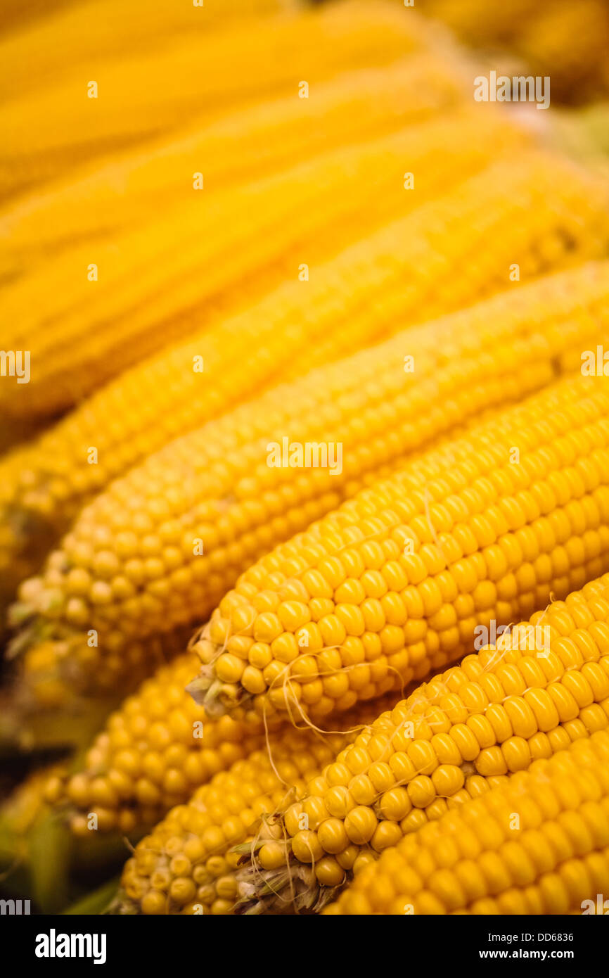 Fresh yellow corn pile on the local market. Crop Background Stock Photo ...