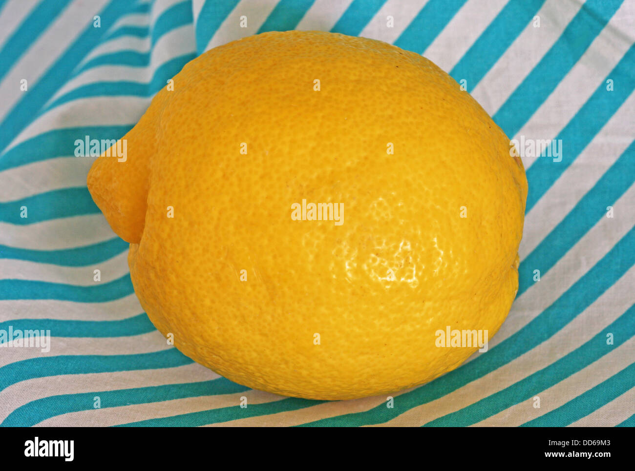 Close up of a single lemon Stock Photo - Alamy