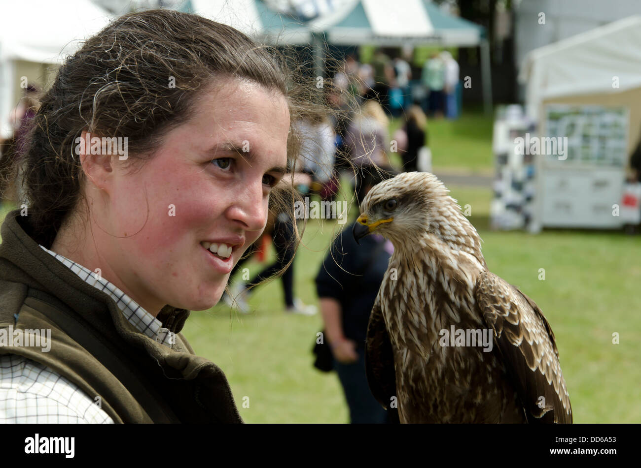 Hawk and handler hi-res stock photography and images - Alamy