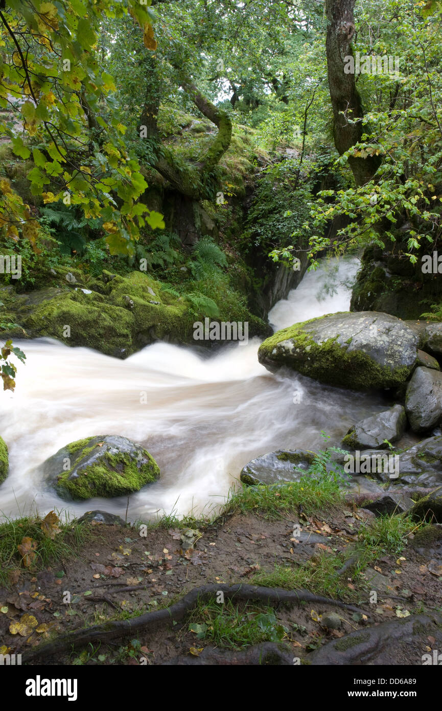 Fast flowing water running down a stream towards a waterfall in the ...