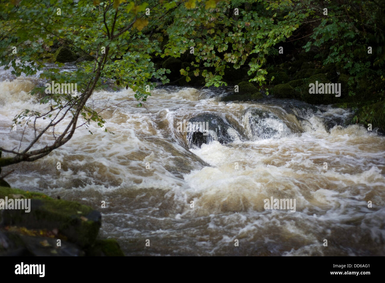 Fast Flowing Stream