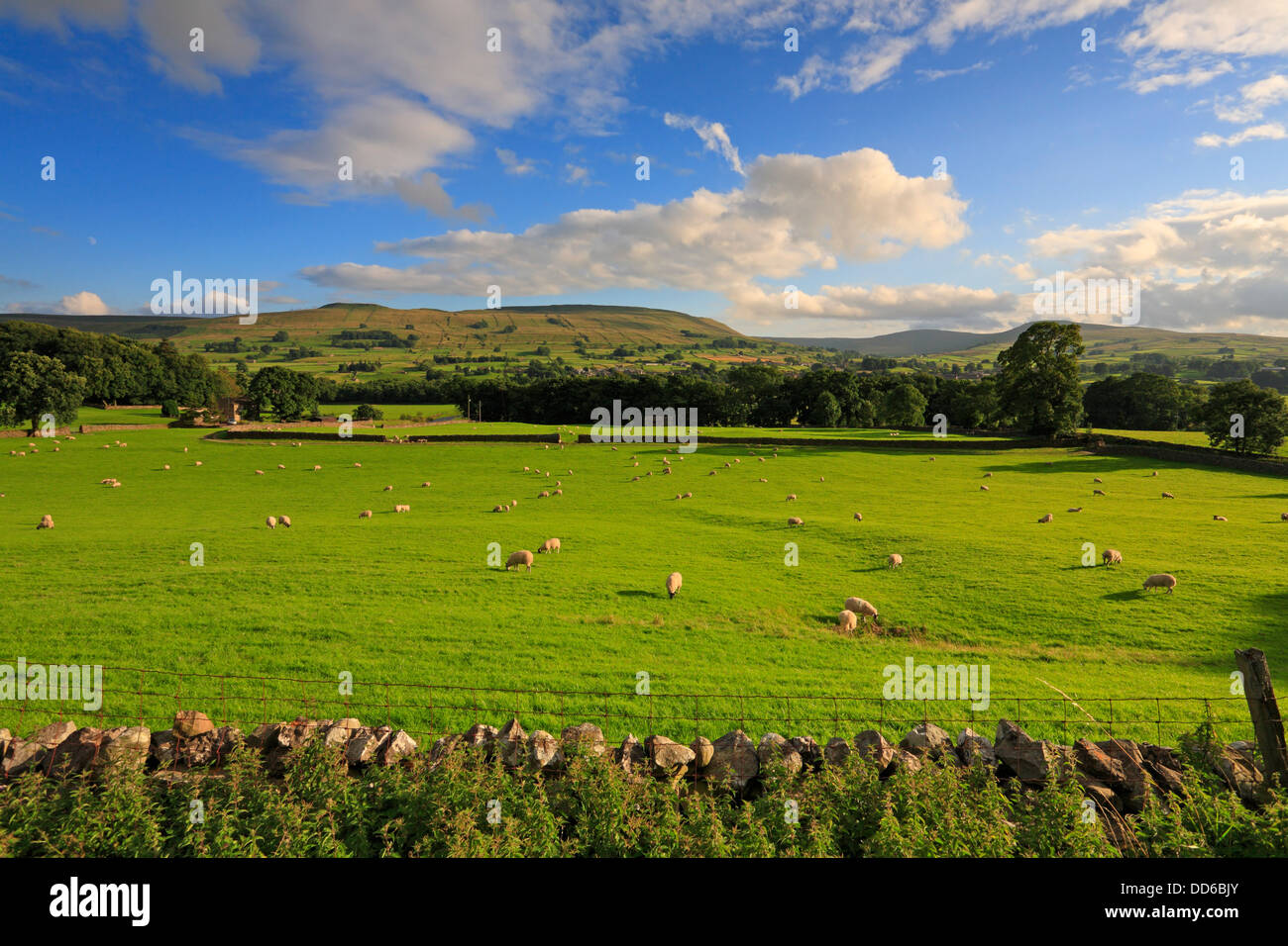 Yorkshire dales hawes summer hi-res stock photography and images - Alamy