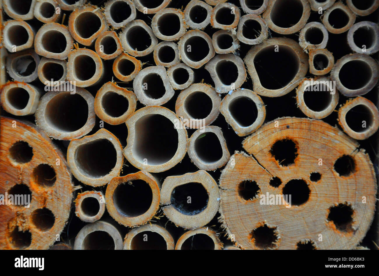 Circles of timber Stock Photo - Alamy