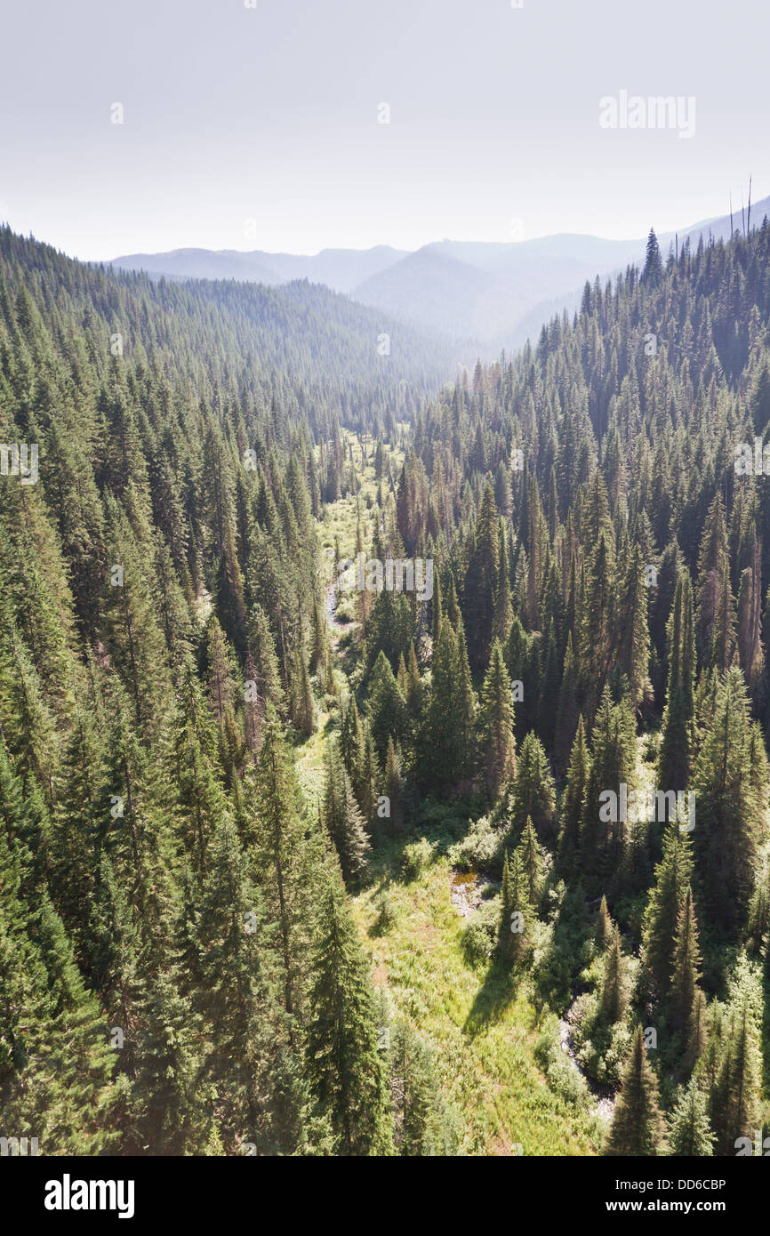view of the mountains in northern idaho from high elevation Stock Photo ...