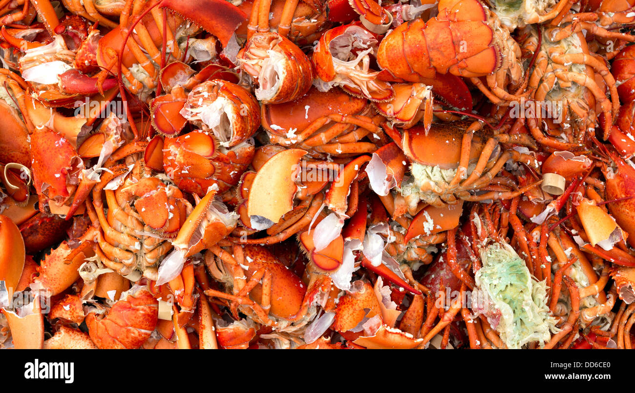 Red lobster cooked lobsters hi-res stock photography and images - Alamy
