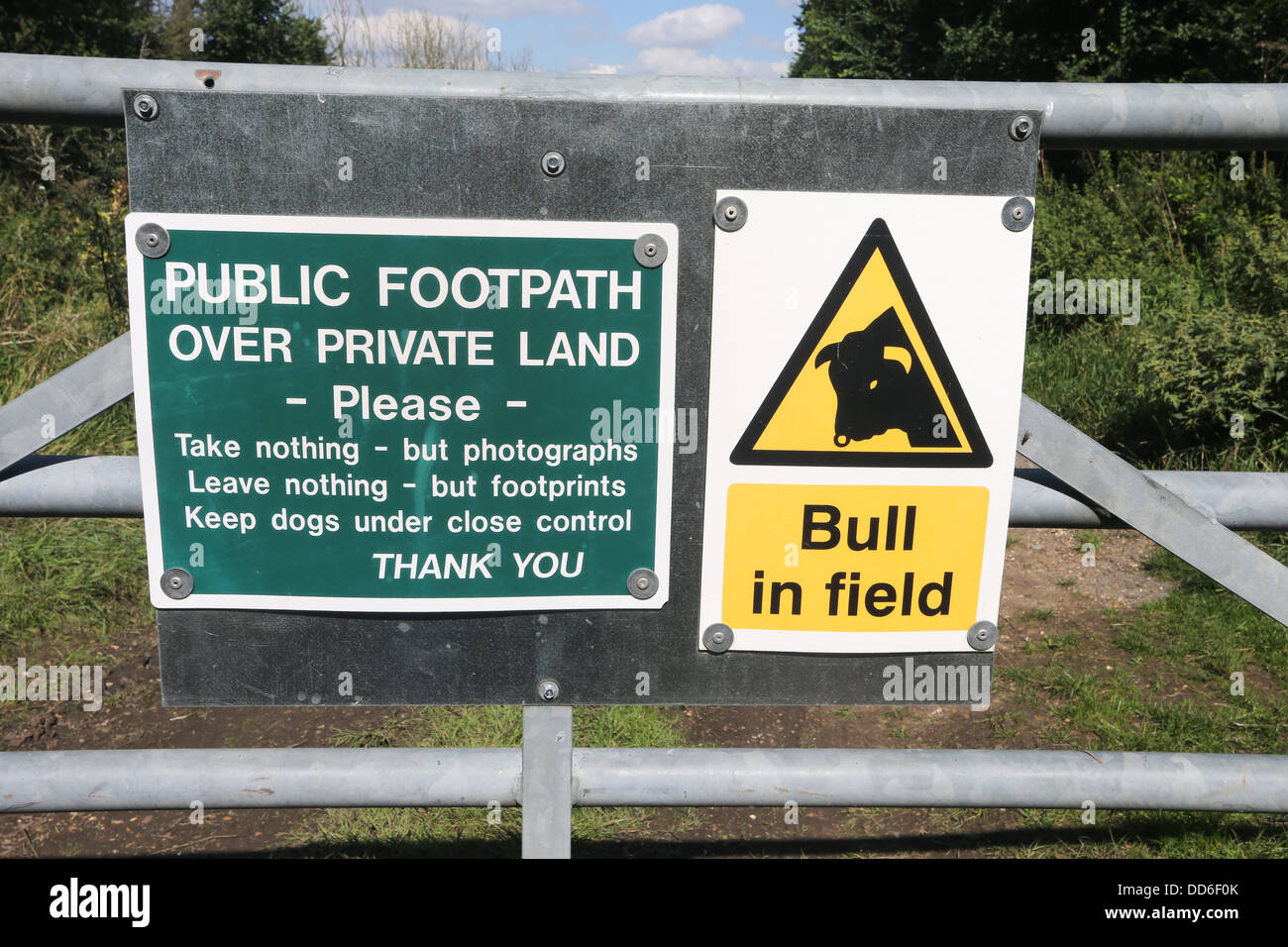 WARNING DANGER SIGN FOR A BULL IN FIELD Stock Photo - Alamy
