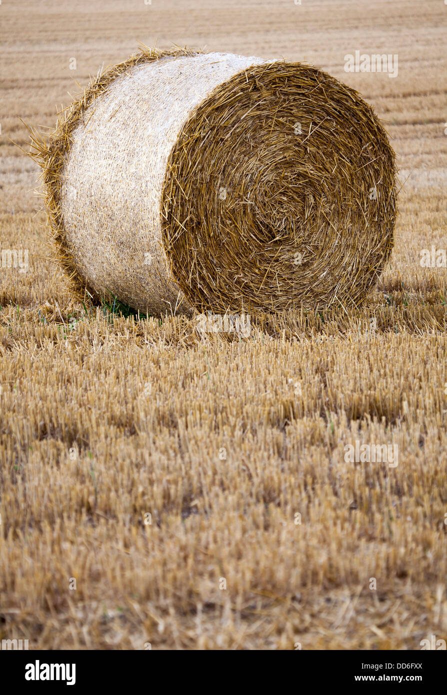 Wheels or Rounds of Hay Bales Stock Photo - Alamy