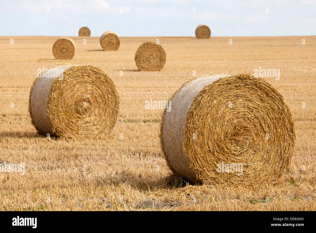 Wheels or Rounds of Hay Bales Stock Photo - Alamy