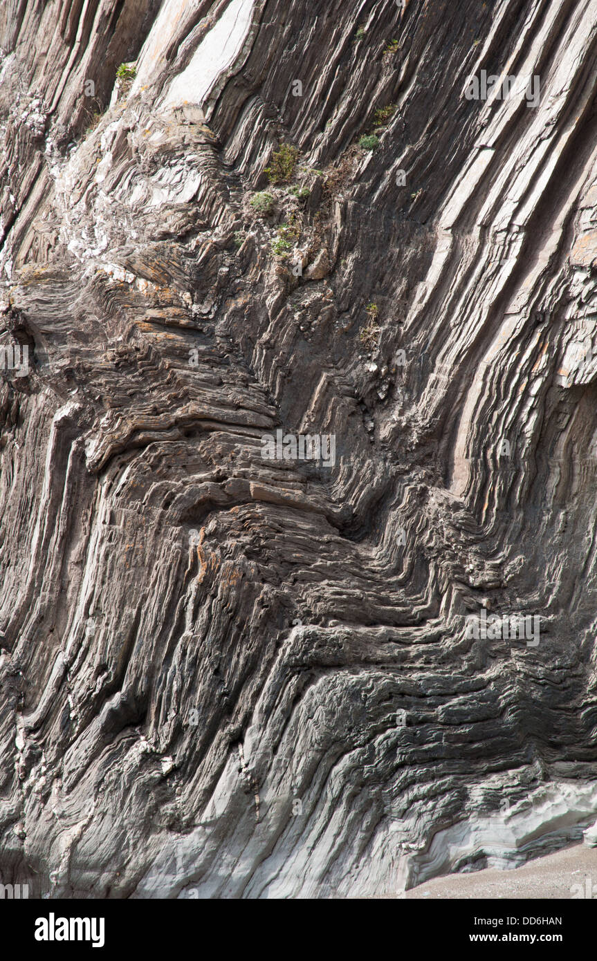 Deeply folded strata in sedimentary rocks of cliff Stock Photo - Alamy