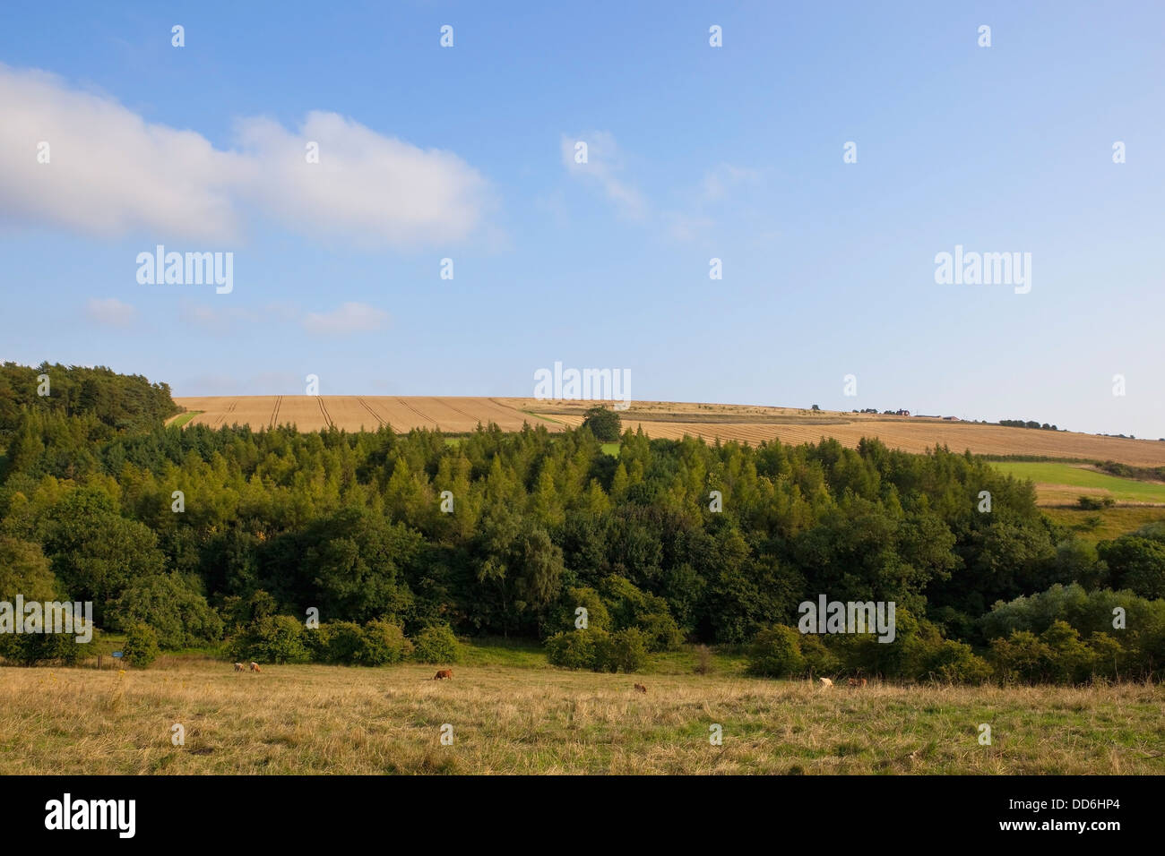 An agricultural landscape with wheat fields woods and pastures under a ...