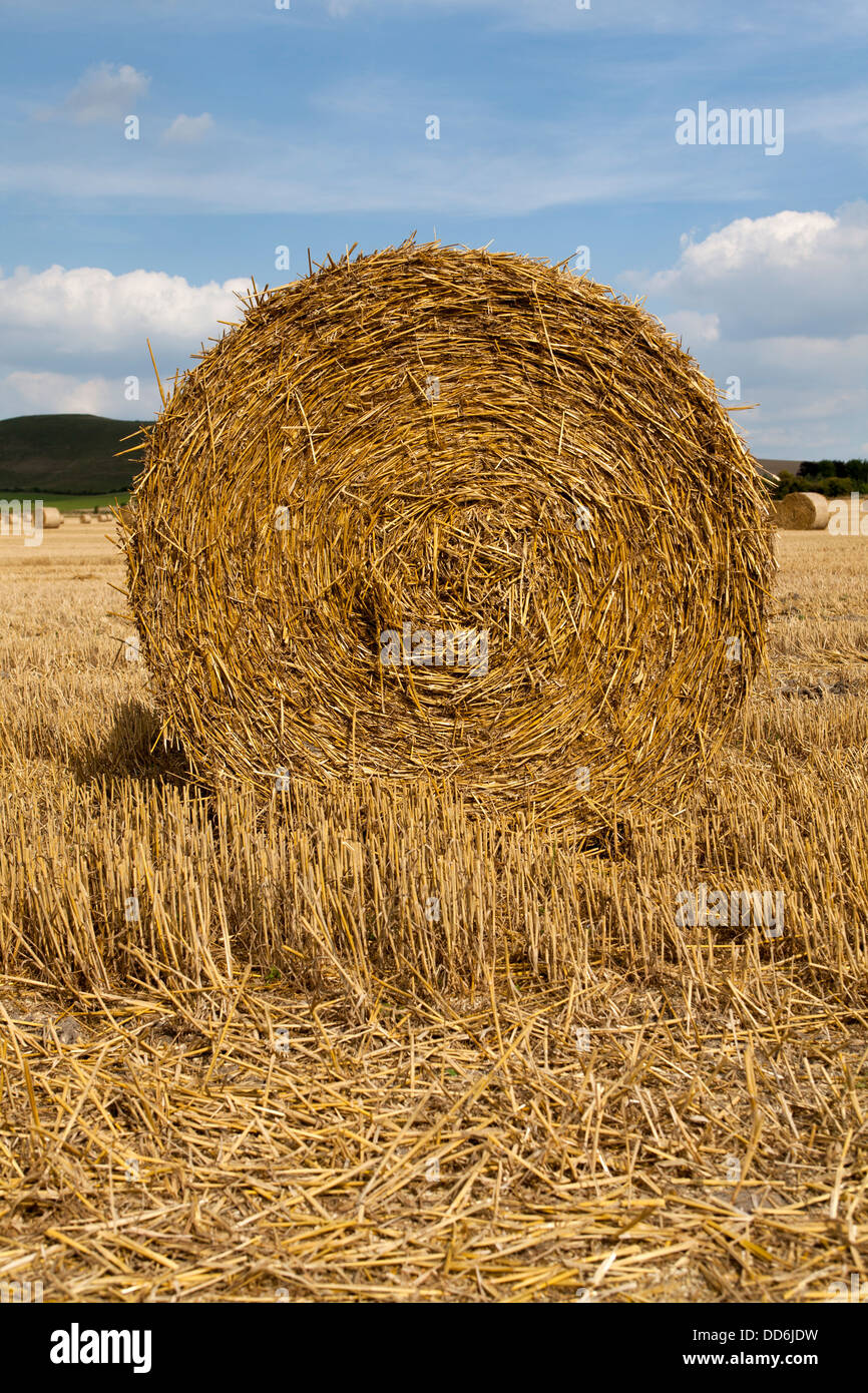 Wheels business country hi-res stock photography and images - Alamy