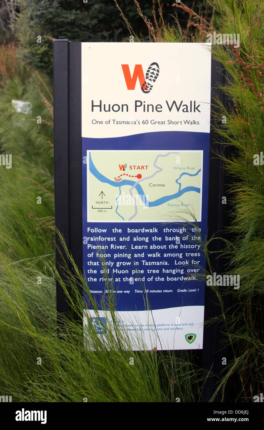 Huon pine hi-res stock photography and images - Alamy