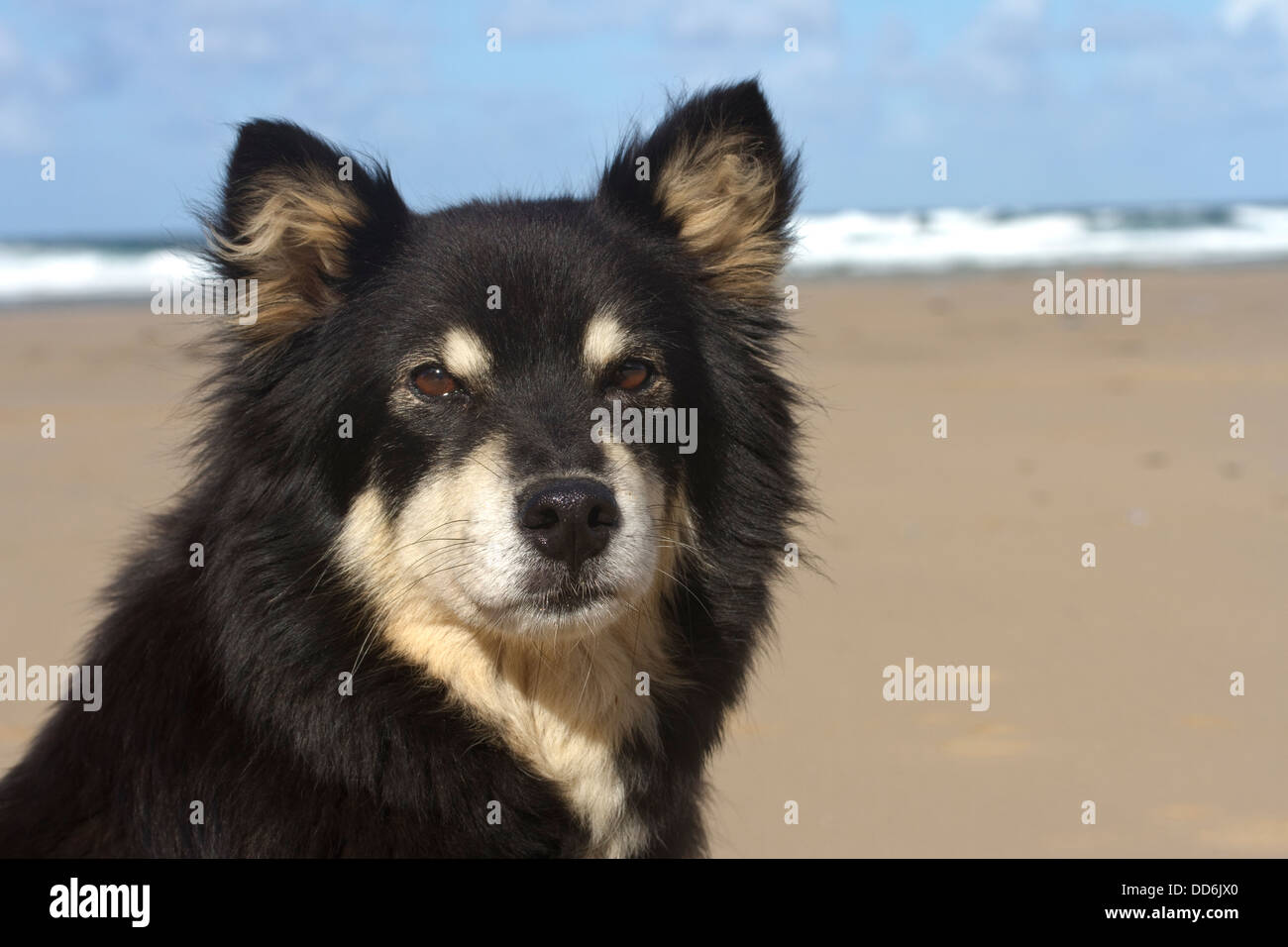 Longingly hi-res stock photography and images - Alamy