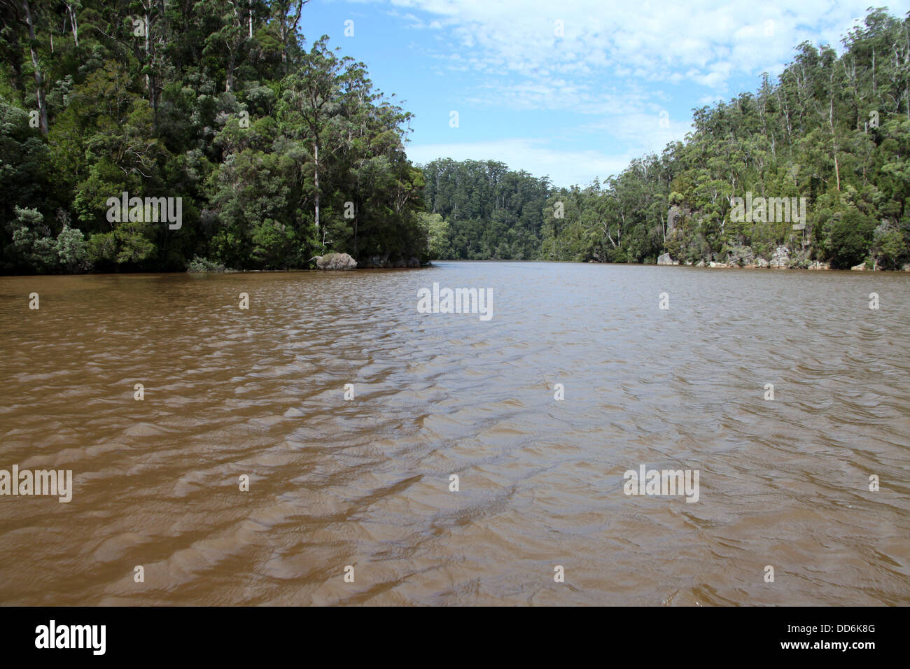 Pieman River in western Tasmania Stock Photo - Alamy