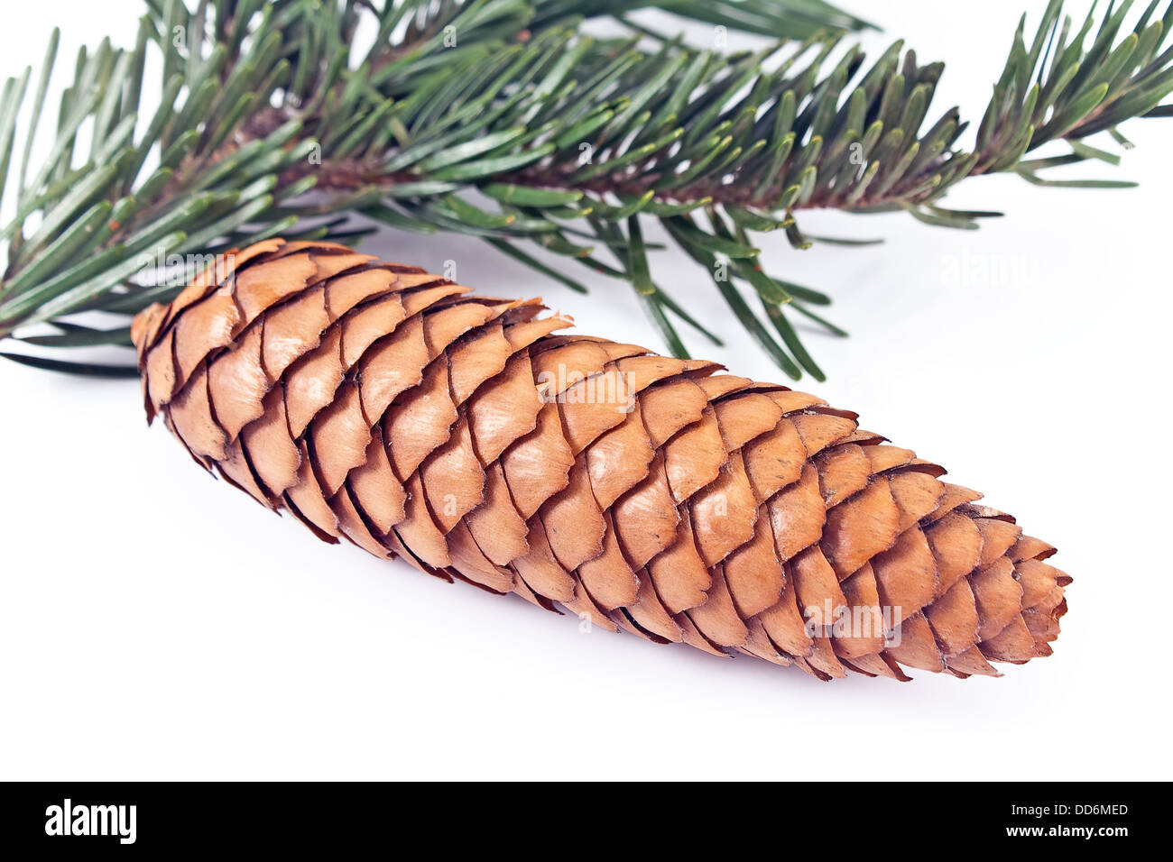 Celebrate cone hi-res stock photography and images - Alamy