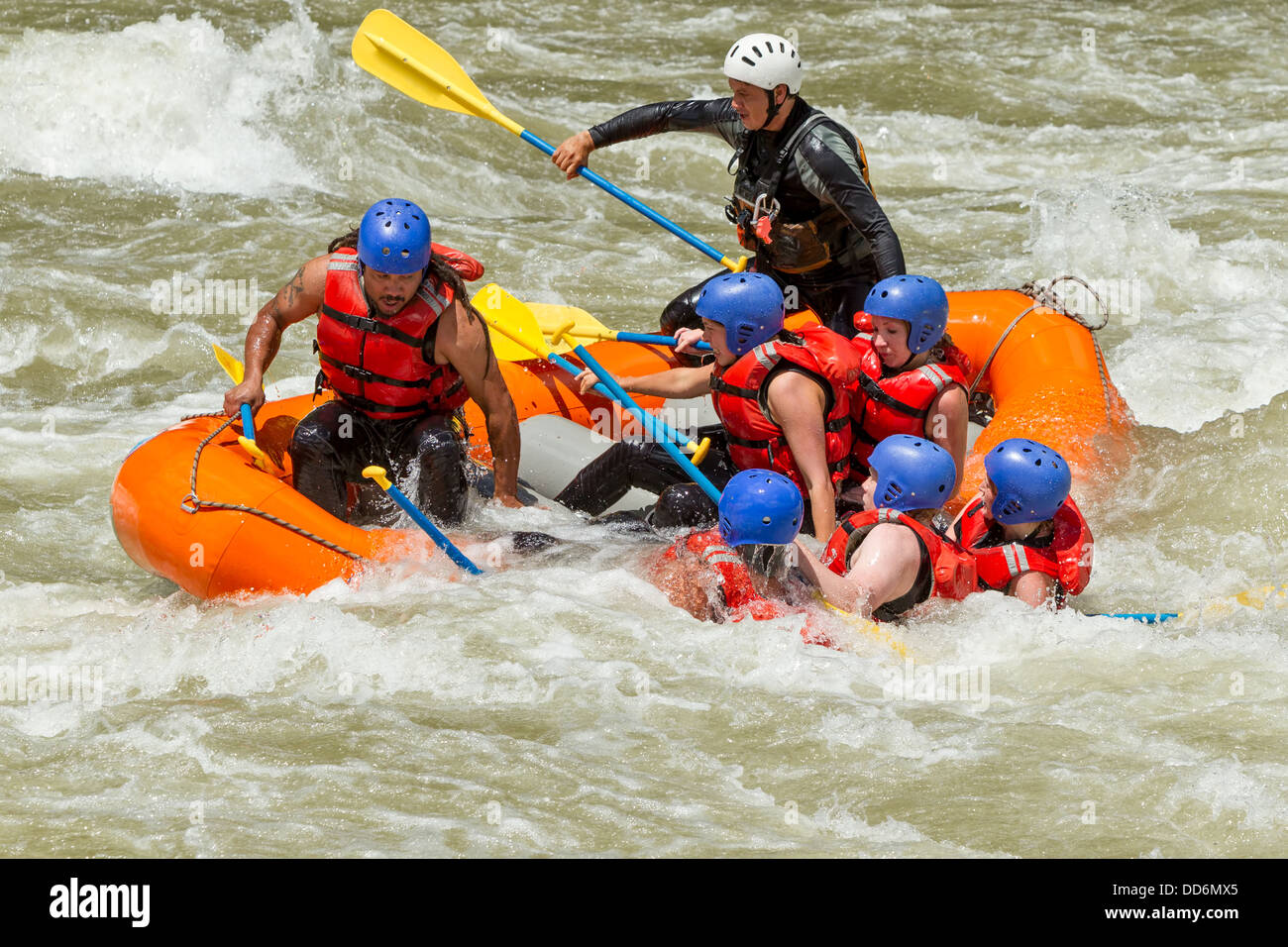 White Water Rafting Team In Bright Sunlight Pastaza River Ecuador ...