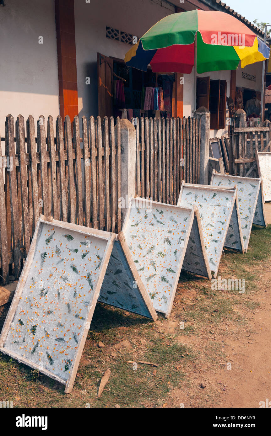 Elk209-1544v Laos, Luang Prabang, Ban Xang Khong, rice paper making ...