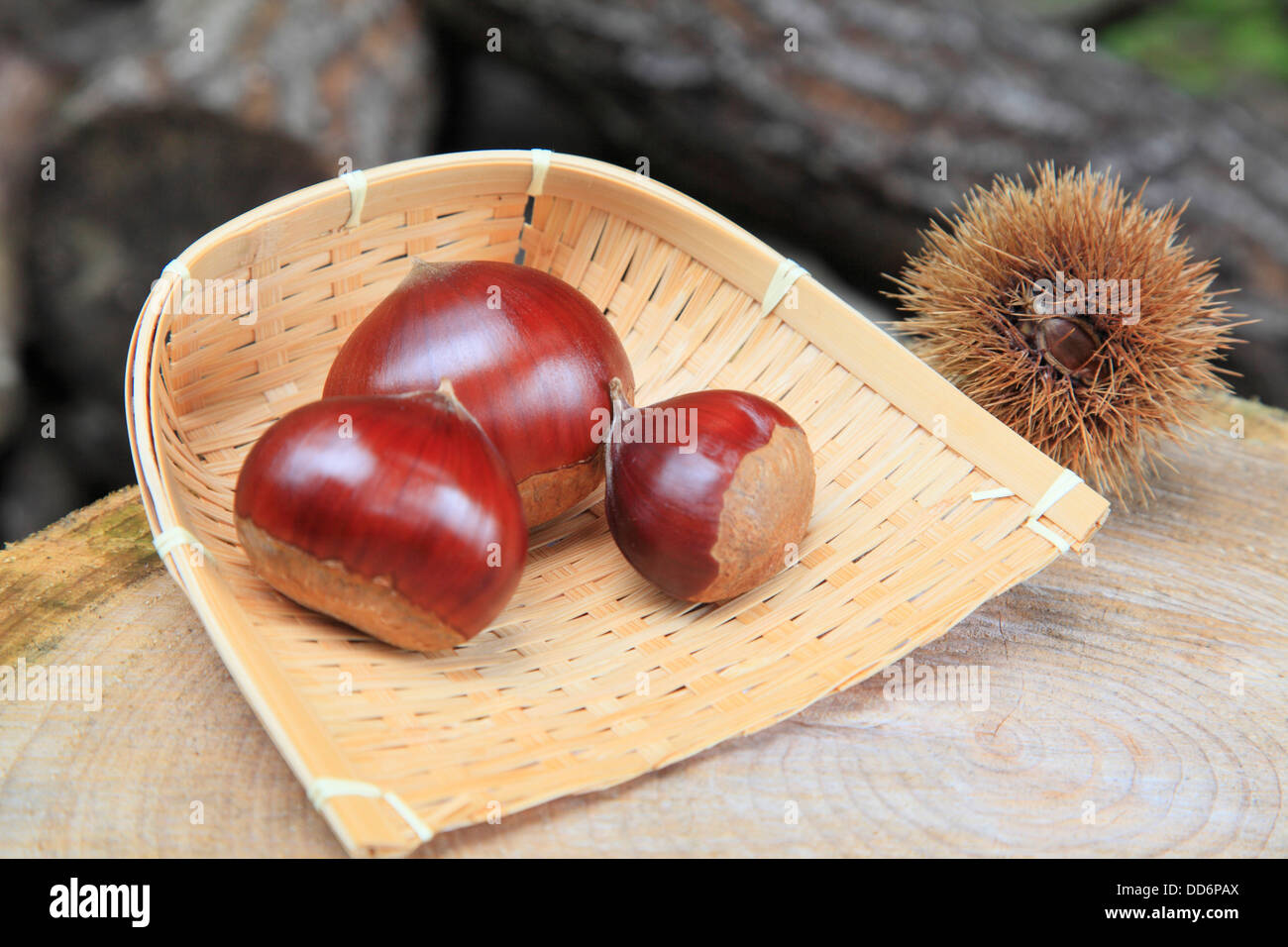 Chestnuts on tree stump Stock Photo - Alamy