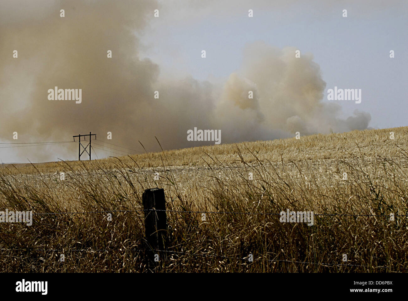 Nez Perce, Lewis County, Idaho State, USA. 27th Aug, 2013. Idaho corn ...