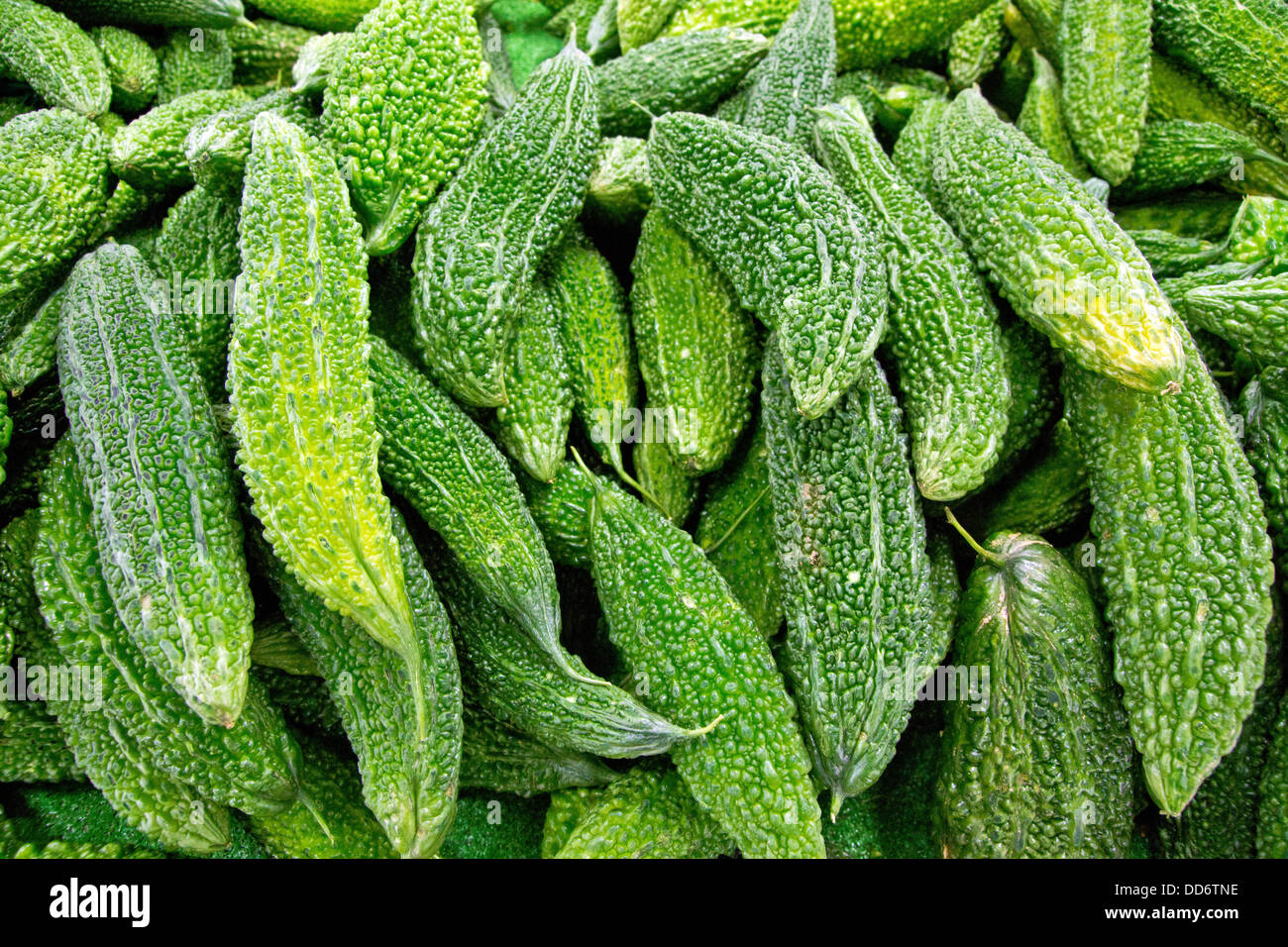 Bitter melon hi-res stock photography and images - Alamy