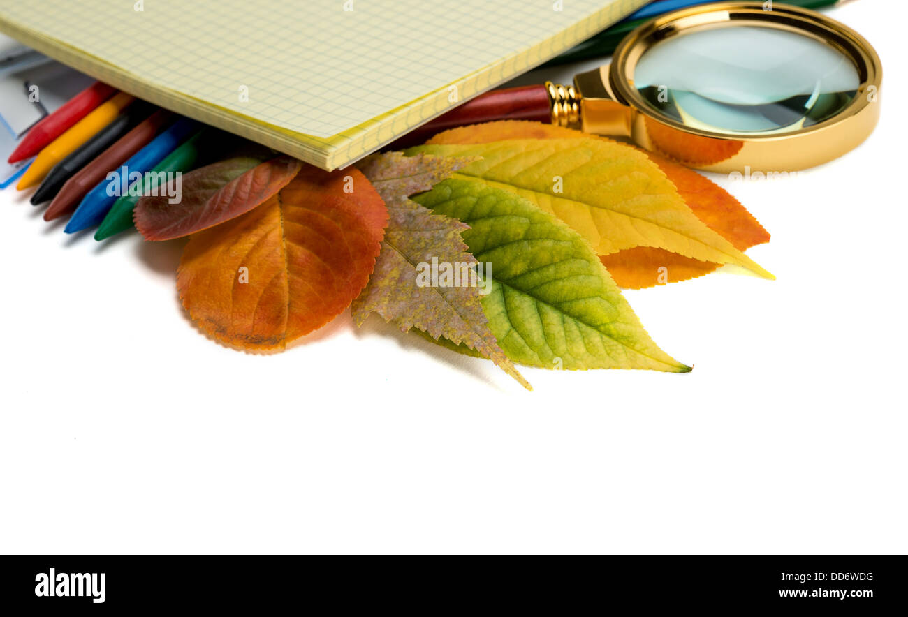 School and office supplies on white background. Back to school Stock ...