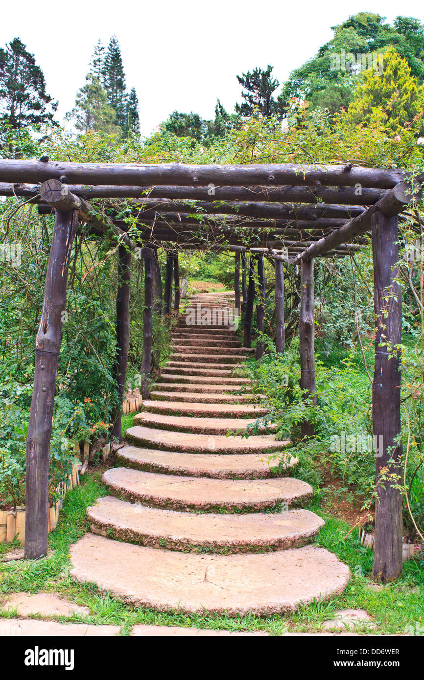 Stairs up the garden path made of cement Stock Photo - Alamy