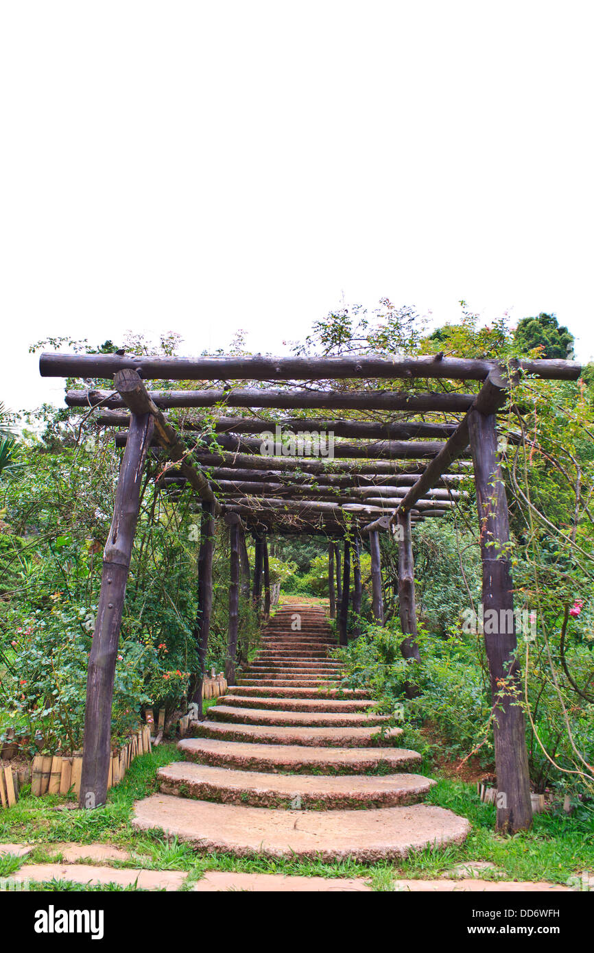 Stairs up the garden path made of cement Stock Photo - Alamy