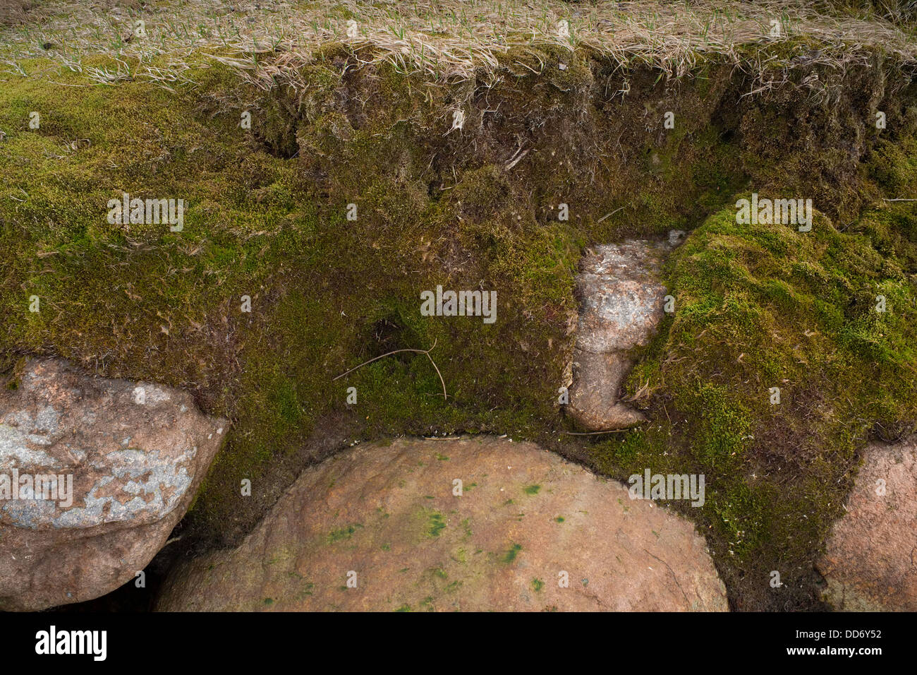 Sibbalds point provincial park hi-res stock photography and images - Alamy