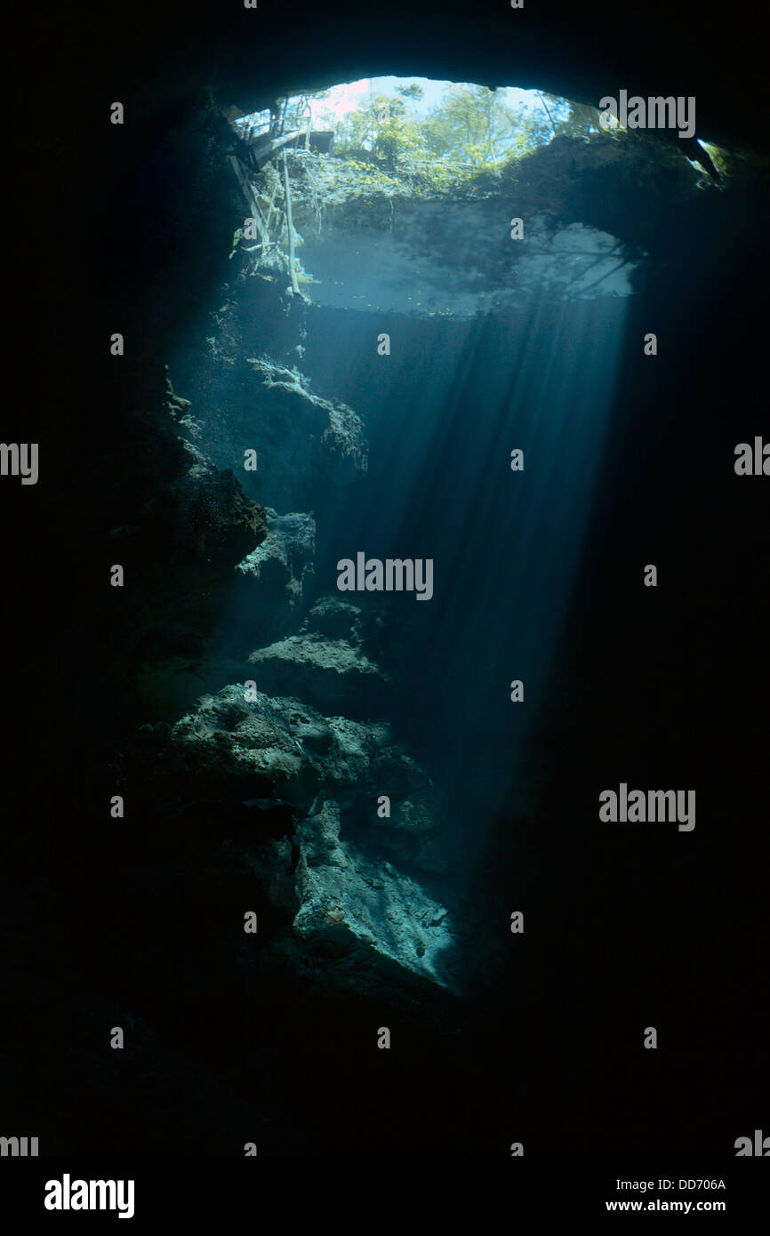 Cenote hi-res stock photography and images - Alamy