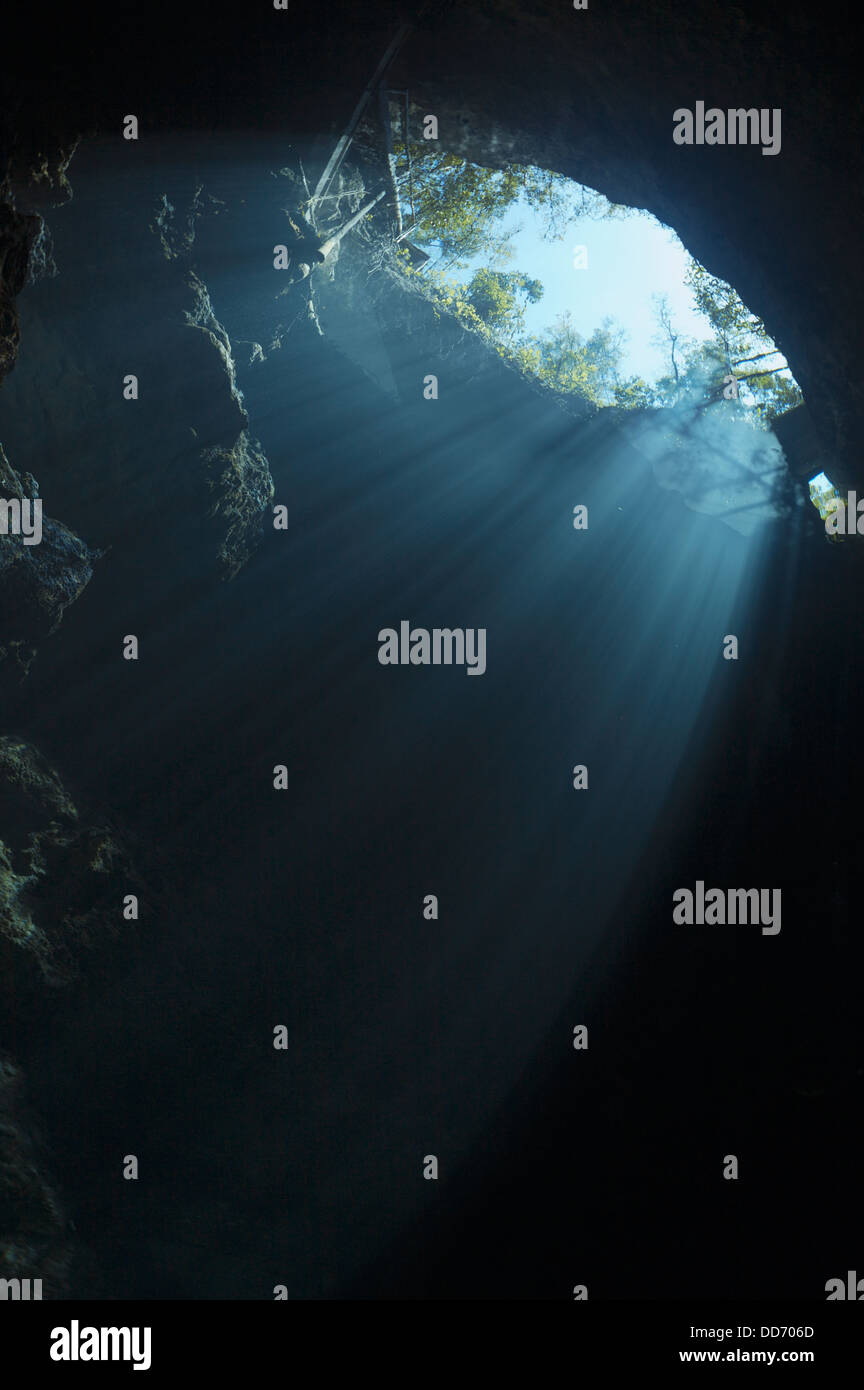 Cenote hi-res stock photography and images - Alamy