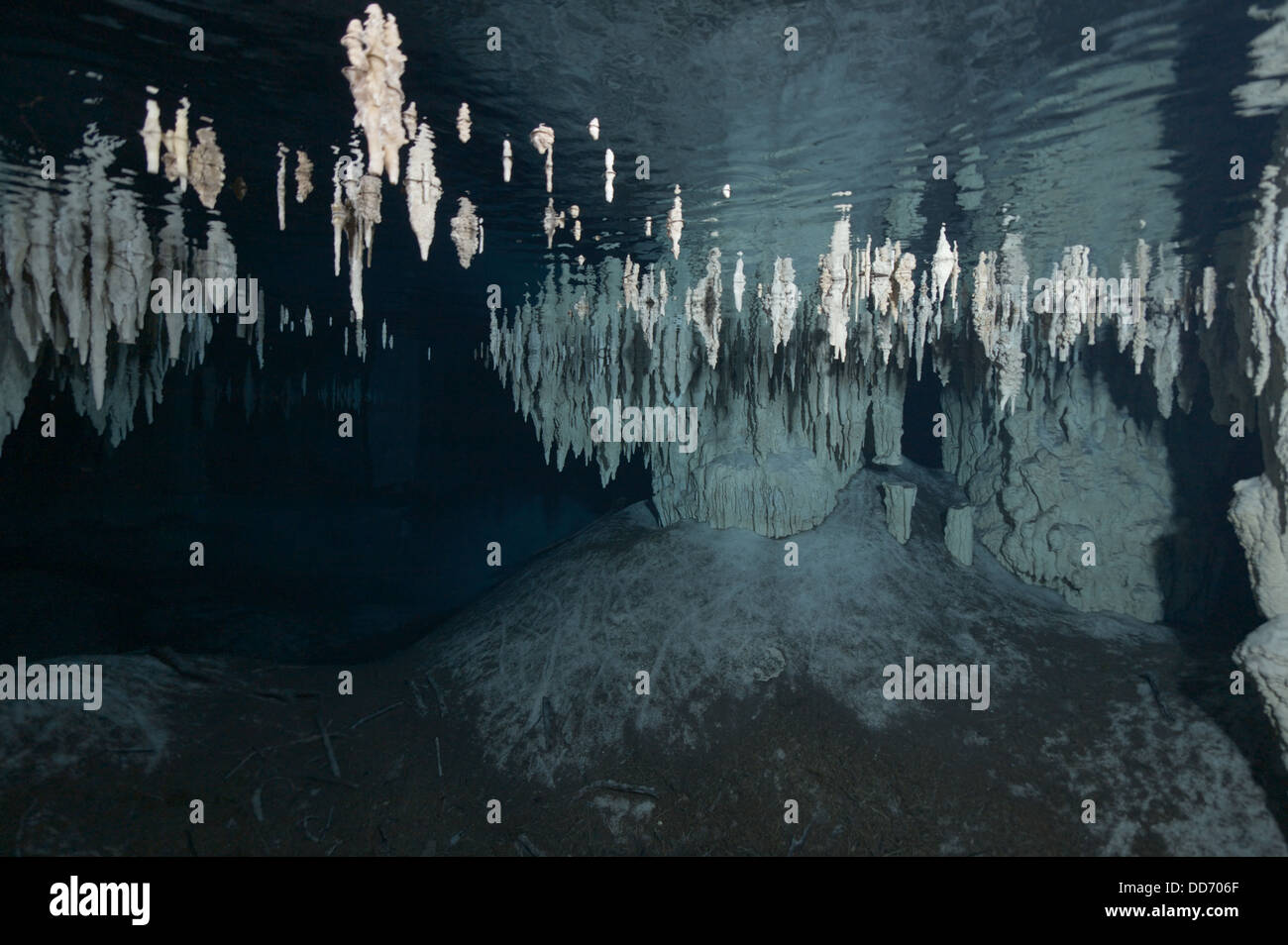 Cenote mexico mirror hi-res stock photography and images - Alamy